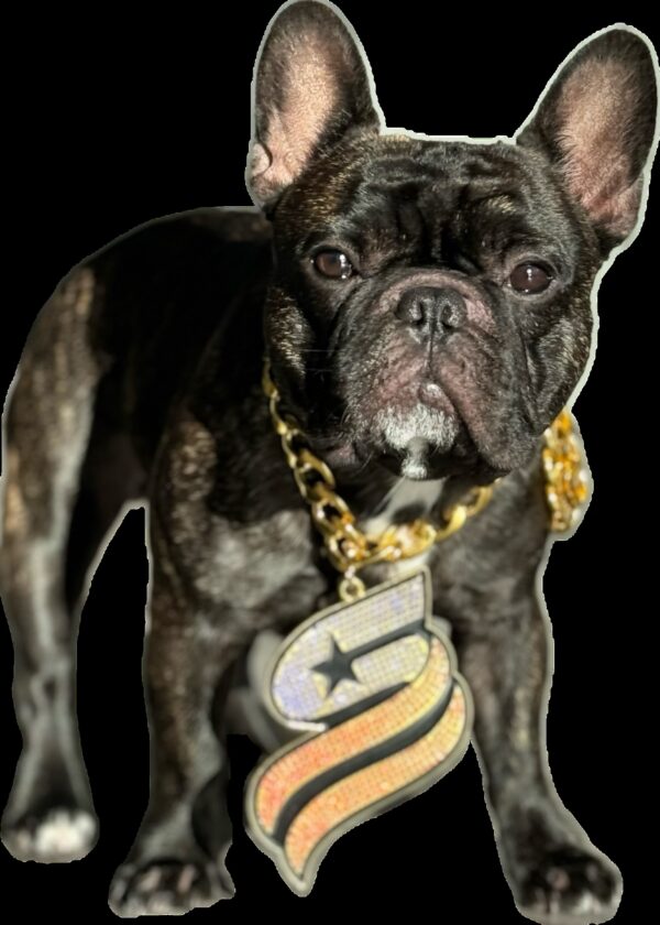 GEORGIA STATE CHAMPIONSHIP (Bling Chains) (2025) - Dublin, GA - USSSA ...