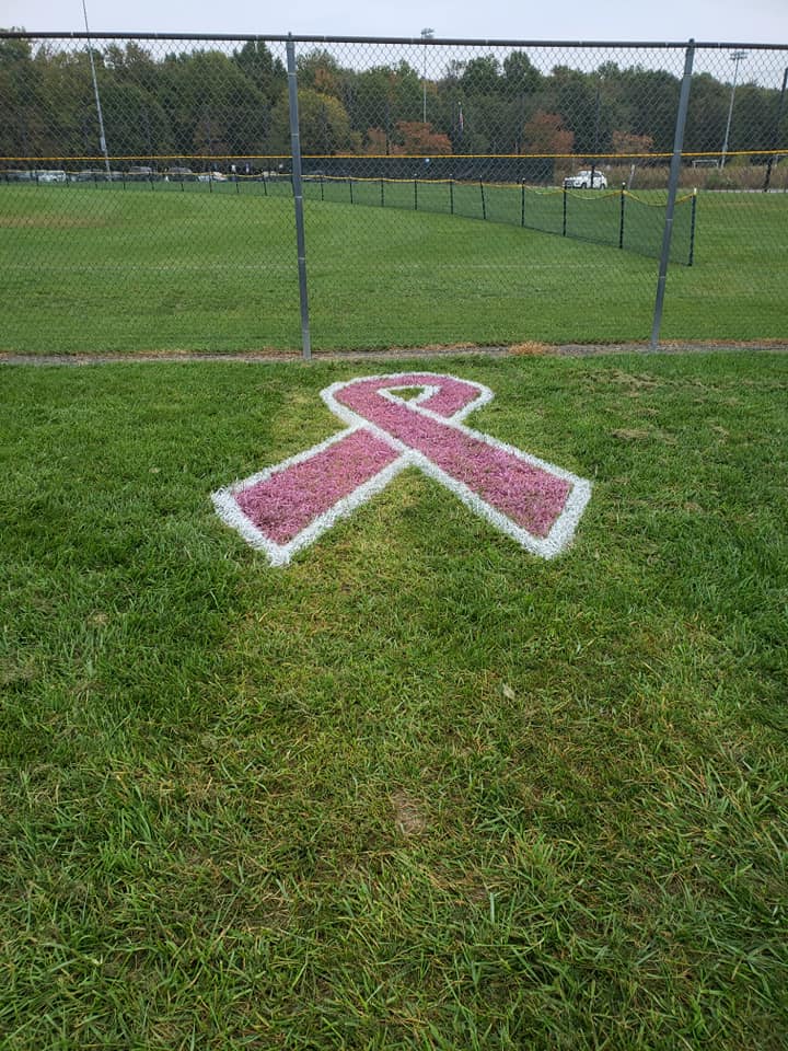 Breast Cancer Awareness NIT CANCELLED – WEATHER (2024) - Sterling, VA - USSSA Virginia Fast Pitch